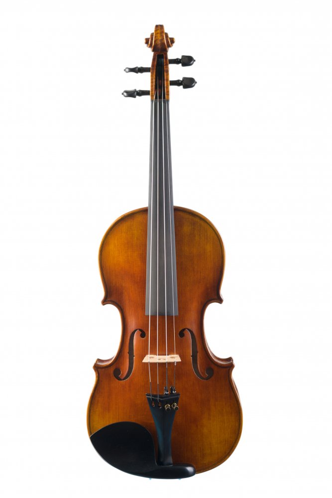 Violin Schönbach - Baron Light - Violin Schönbach